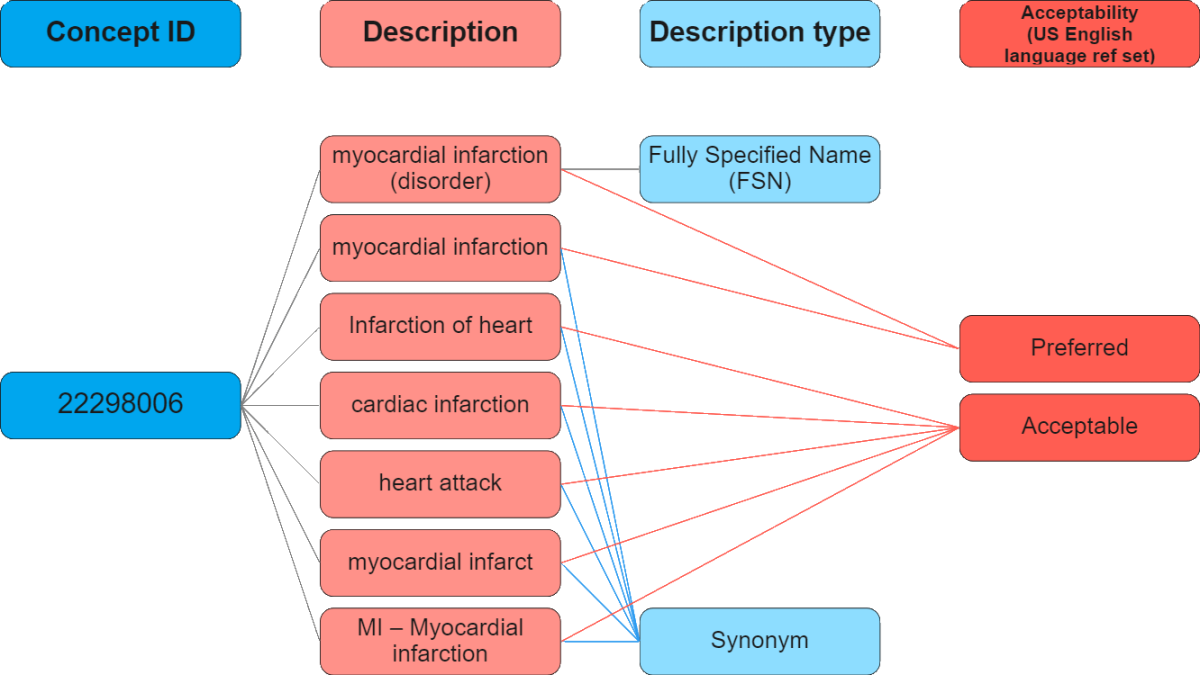 What is SNOMED CT – an introduction